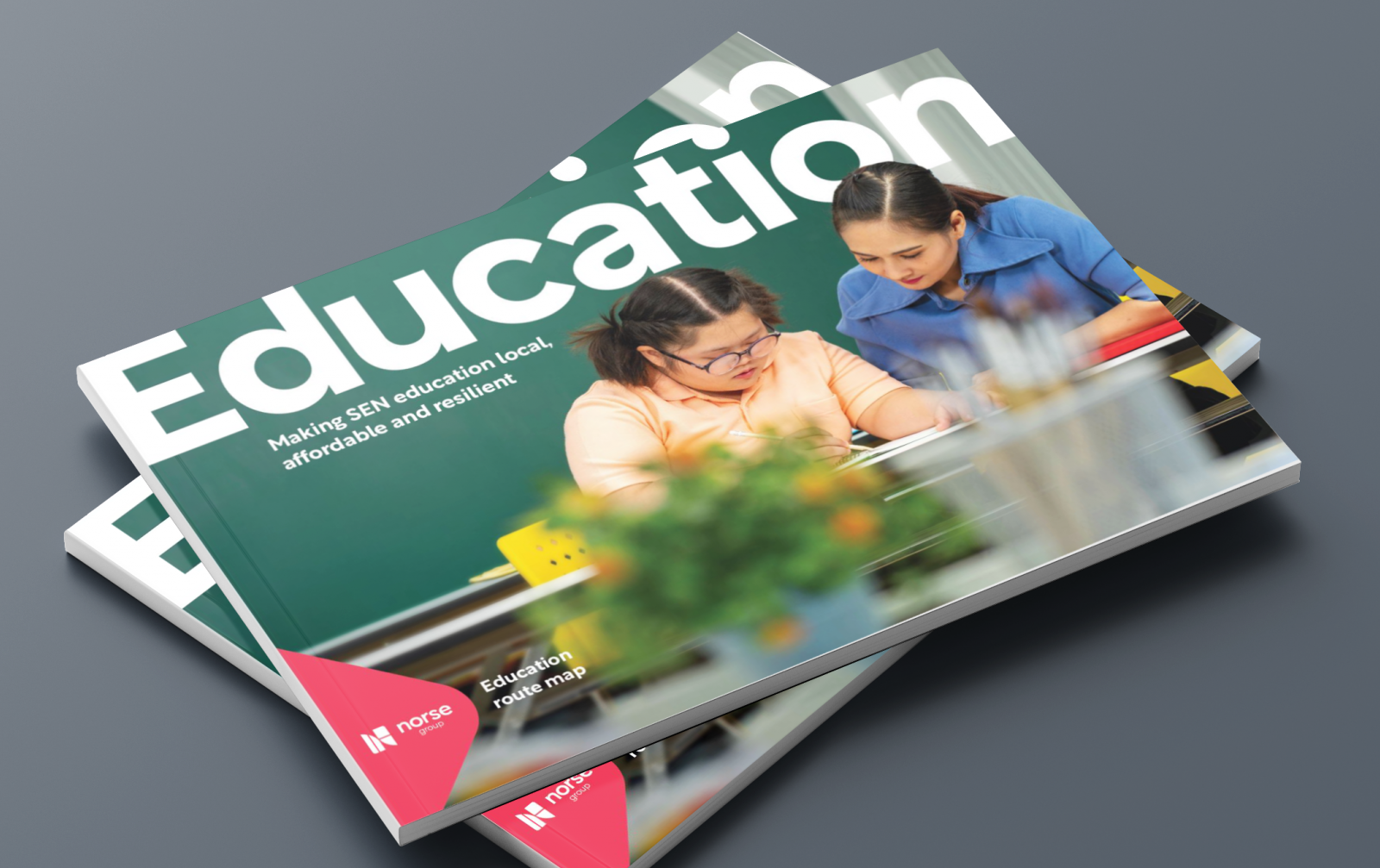 Education route map: Making SEN education local, affordable and ...